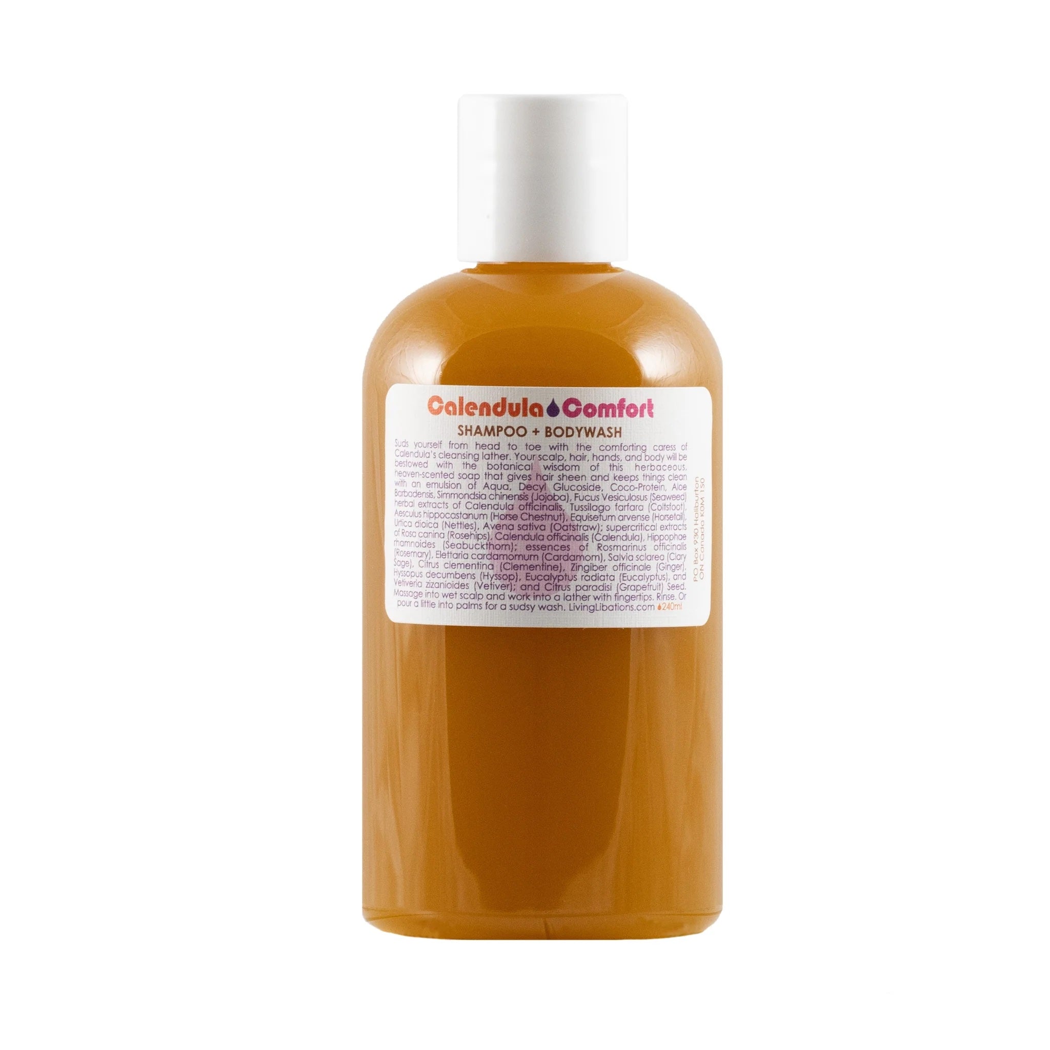 Calendula Comfort : Shampoo + Bodywash – Garden City Essentials